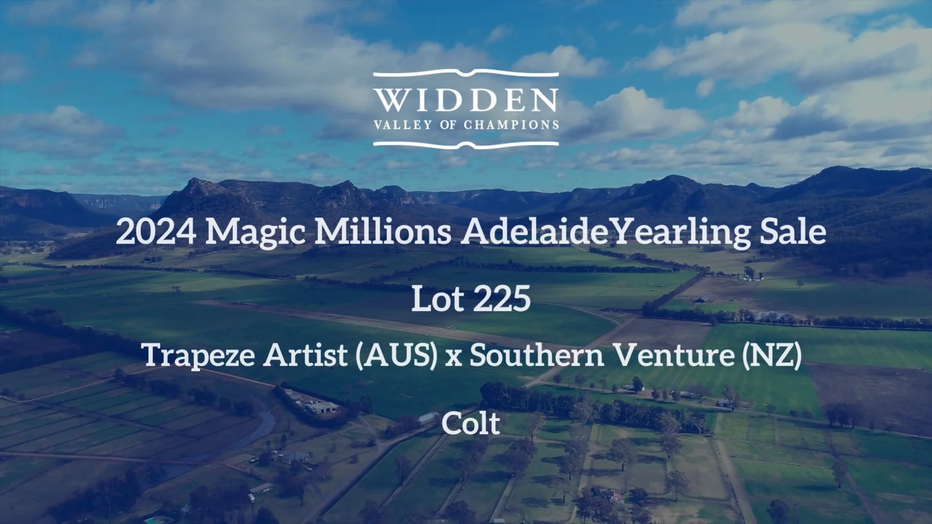 Lot 225-Trapeze Artist x Southern Venture (NZ)