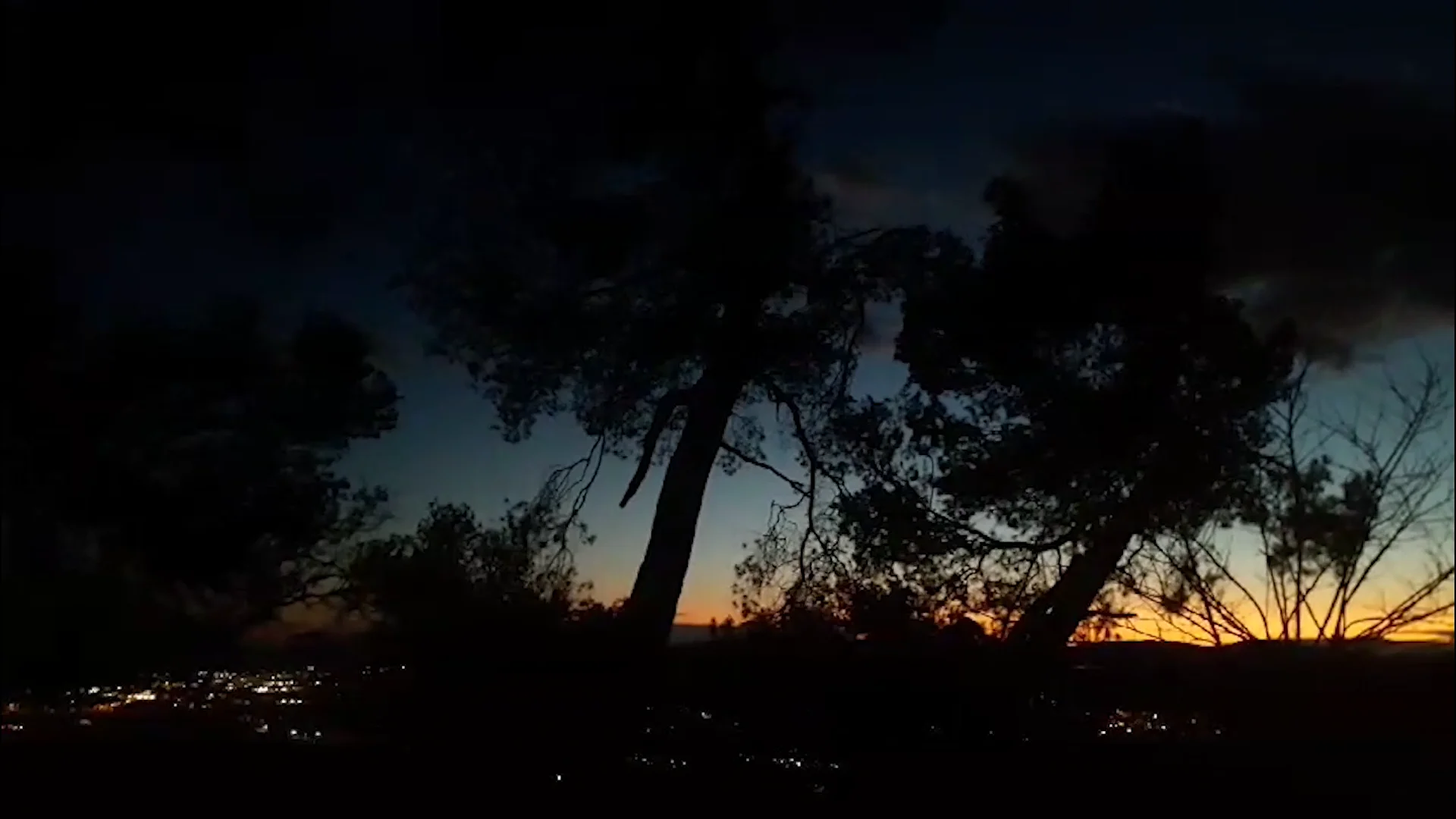 Collserola, 10 de febrer de 2024, Madou Cessay on Vimeo