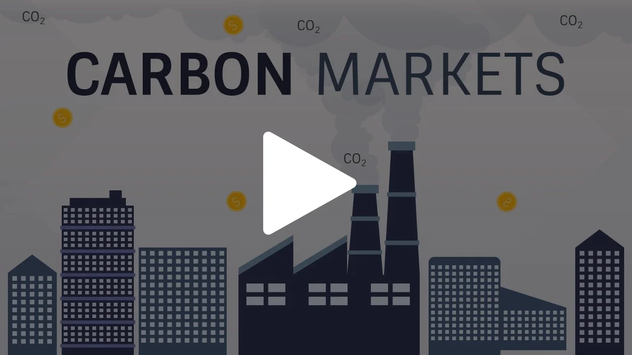Carbon Markets Animated Presentation - SketchBubble on Vimeo