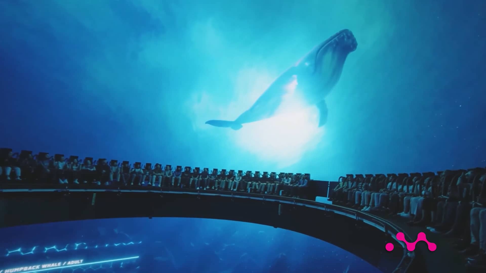 Hypersphere 360 at SeaWorld Abu Dhabi (Mousetrappe Media) on Vimeo