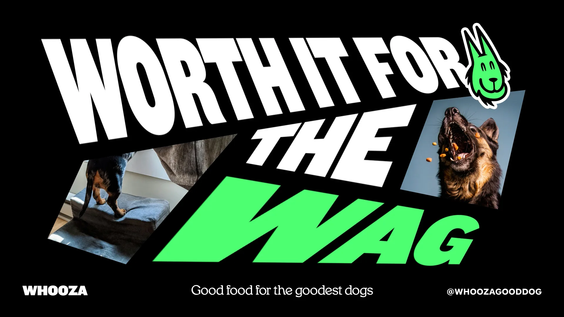 Whooza - Worth it for the wag on Vimeo