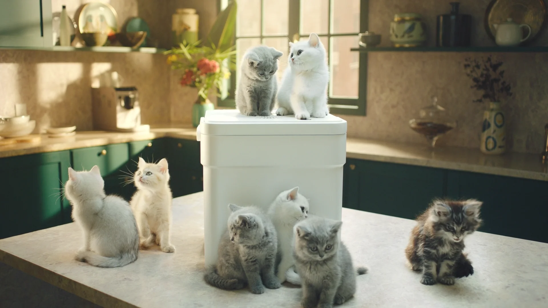 MIDEA - GenCube - Little Kittens on Vimeo