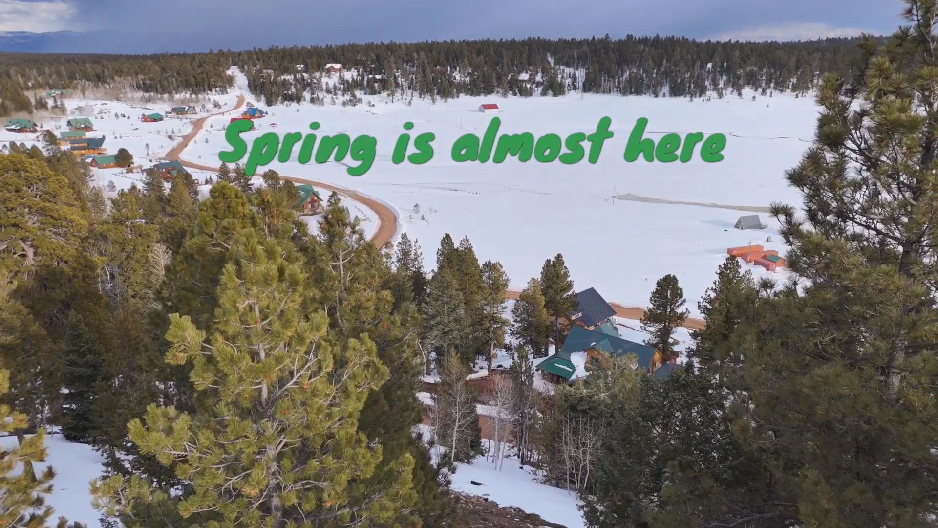 PTP Spring on Vimeo