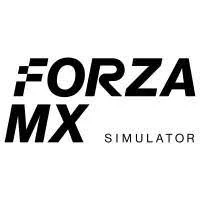 Información Franquicia Forza Mx Simulator