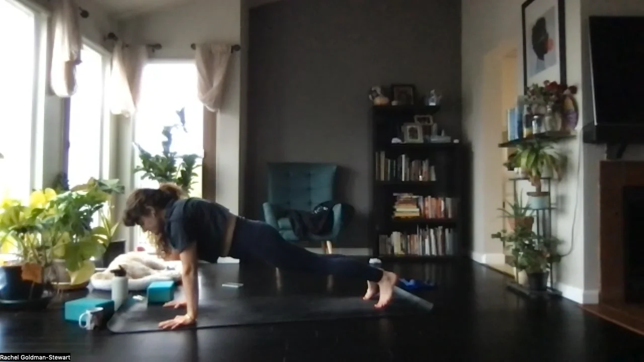 Reverence 420: ANIMAL on Vimeo