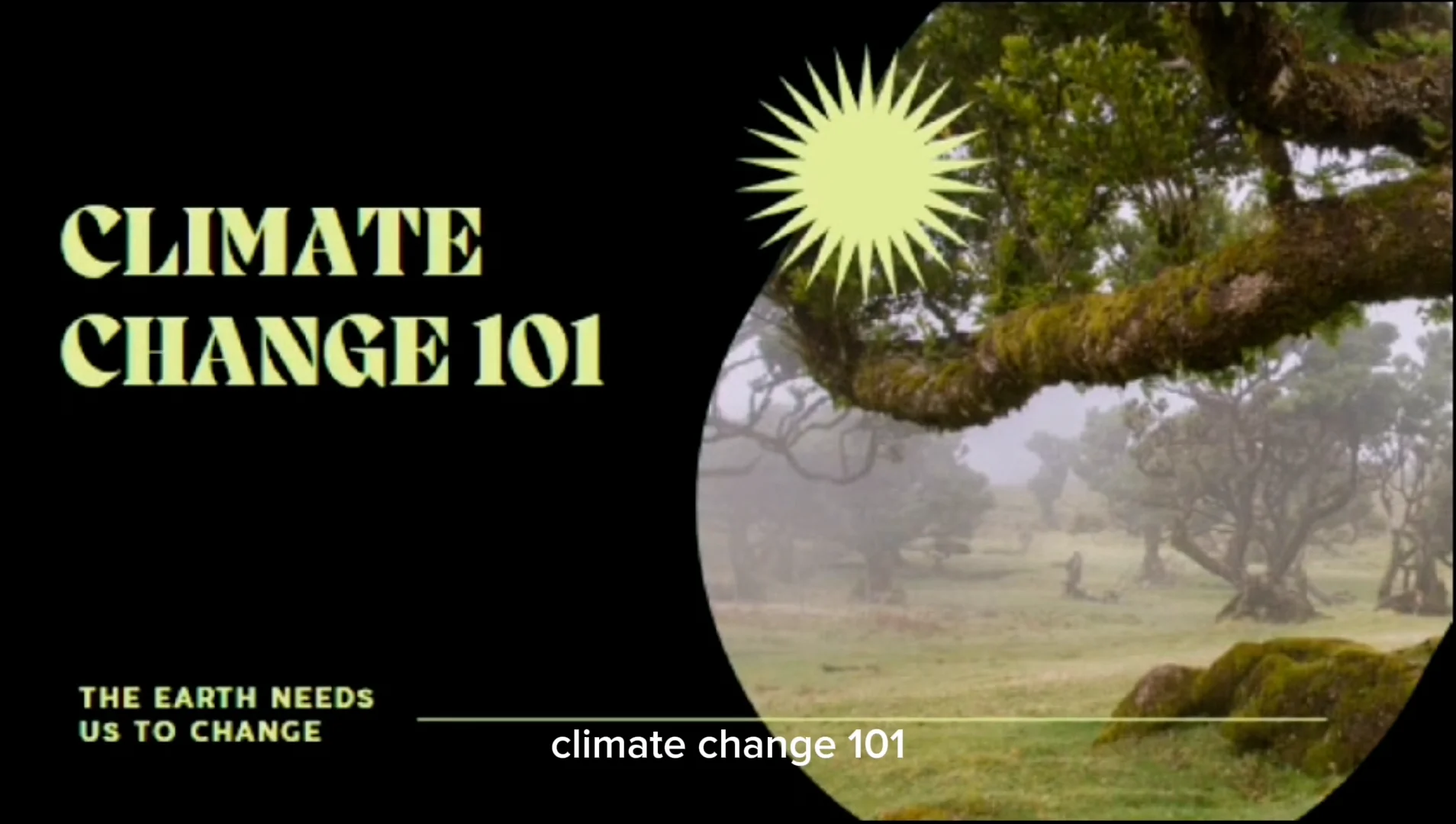 Al-Reeyada International School on Vimeo