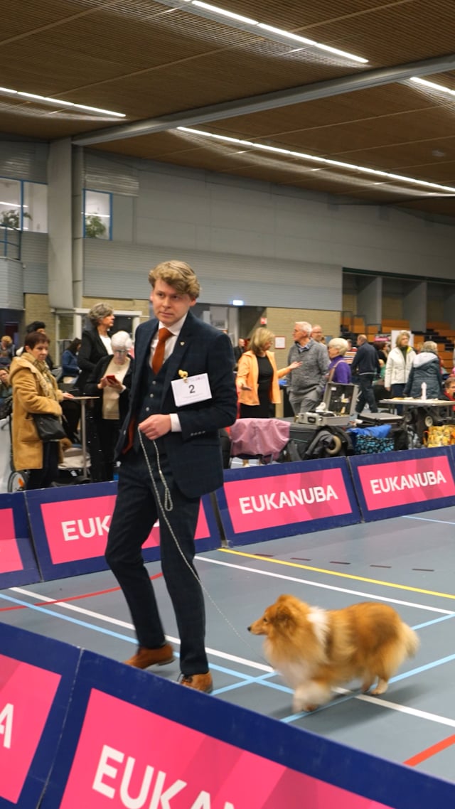 Video's - Raad van Beheer on Vimeo