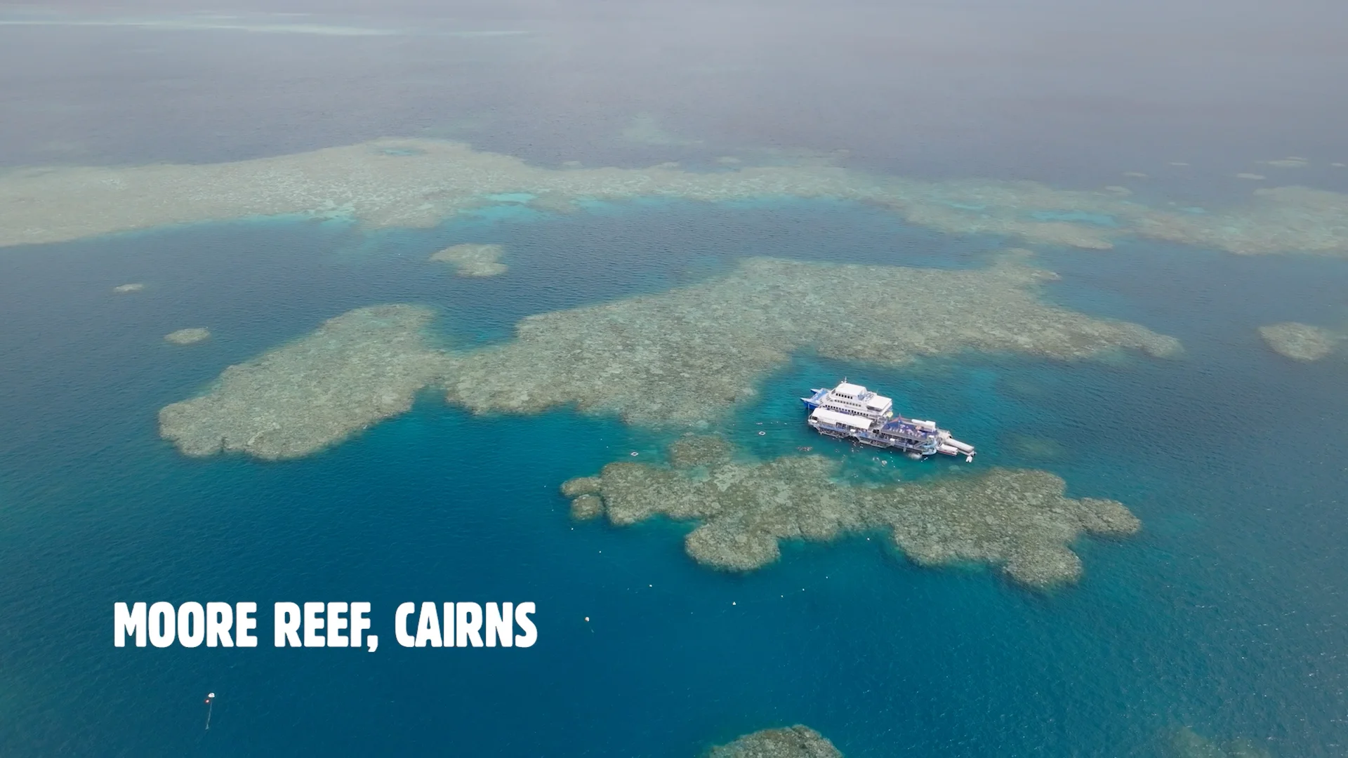 REEF TODAY - Moore Reef Through the years on Vimeo