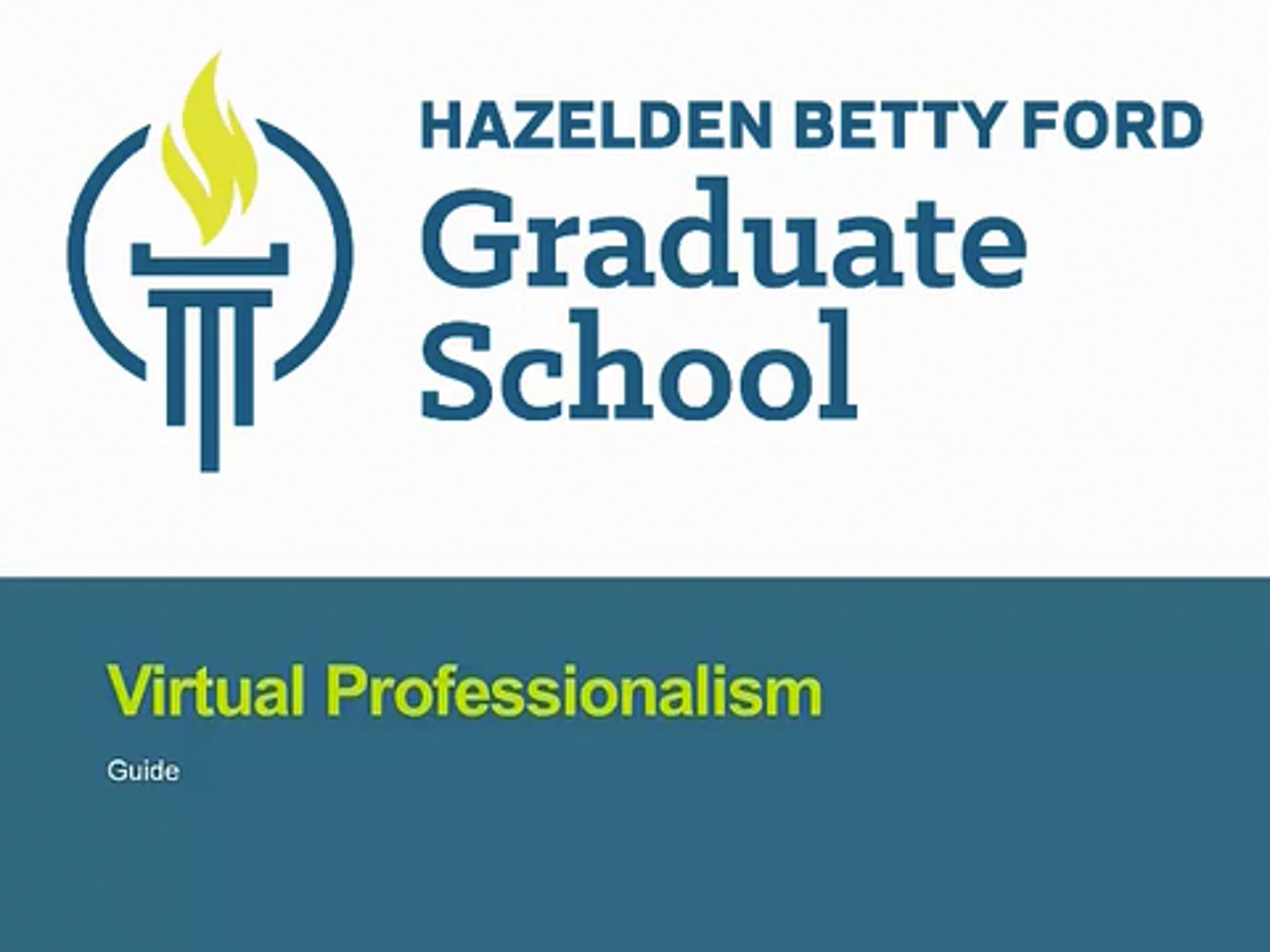 *Guide-Virtual Professionalism