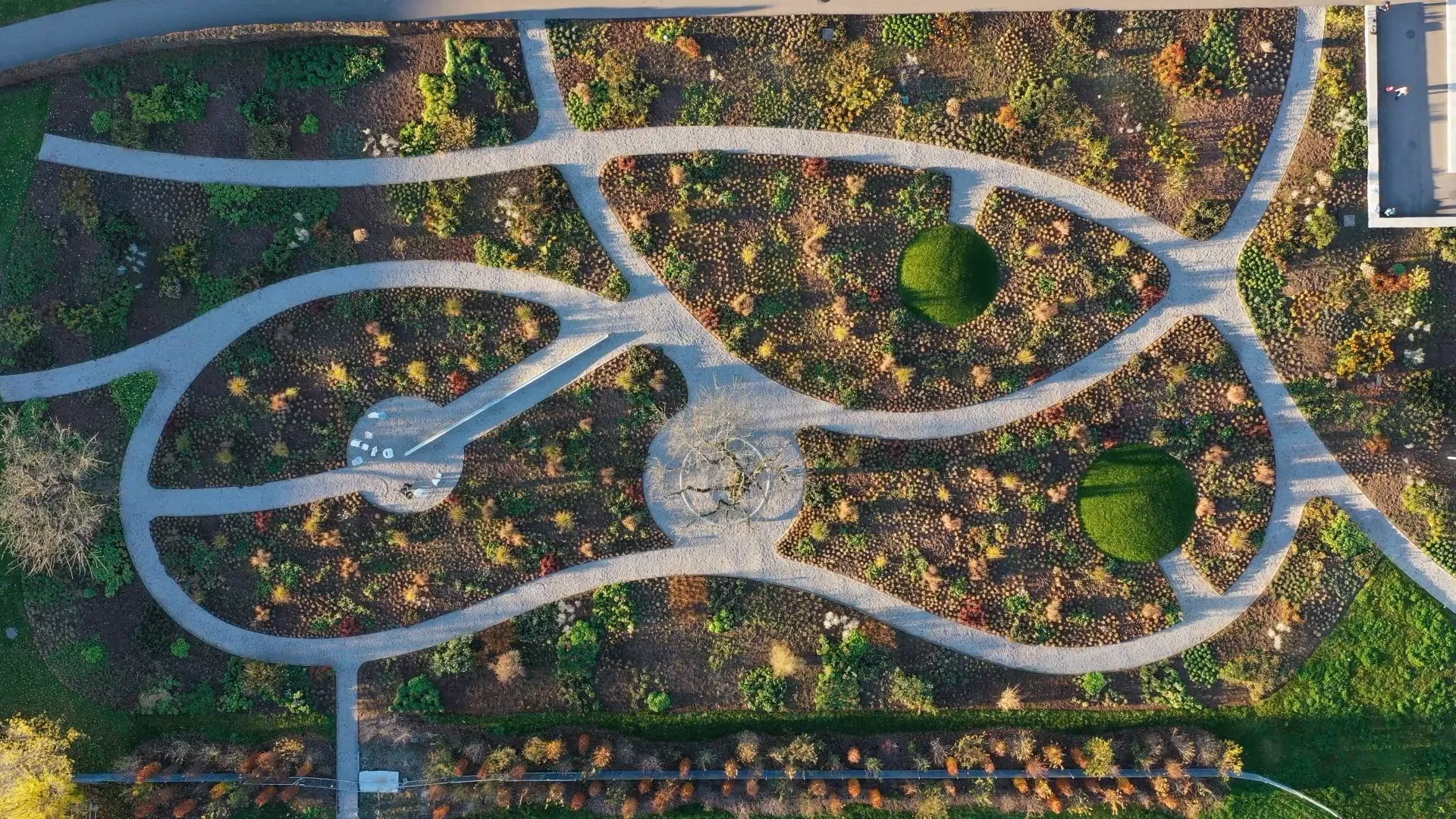 Watch Understanding Tree Selection in the 21st Century Online | Vimeo ...