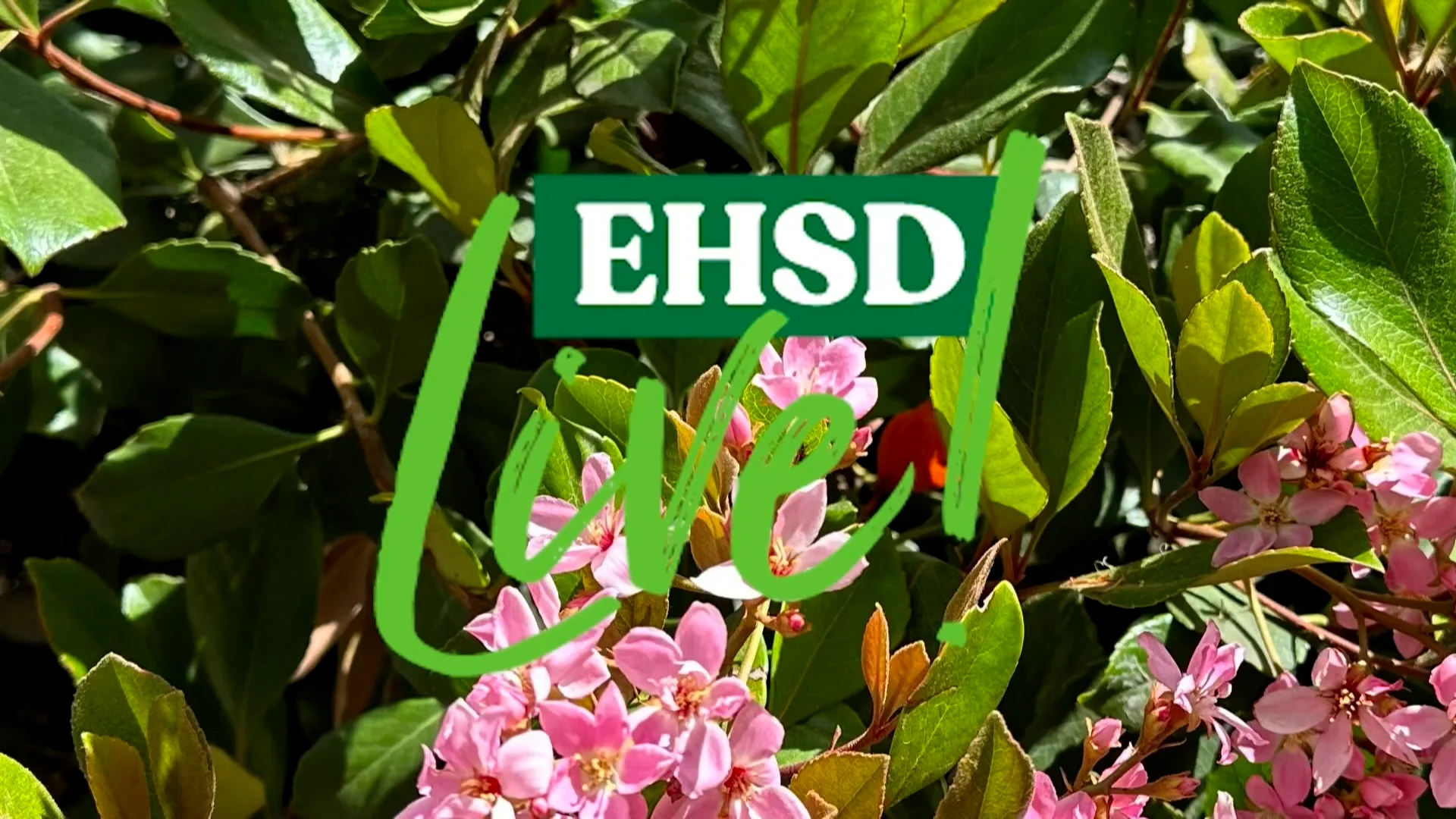EHSD Live 3_14_24 FNL on Vimeo