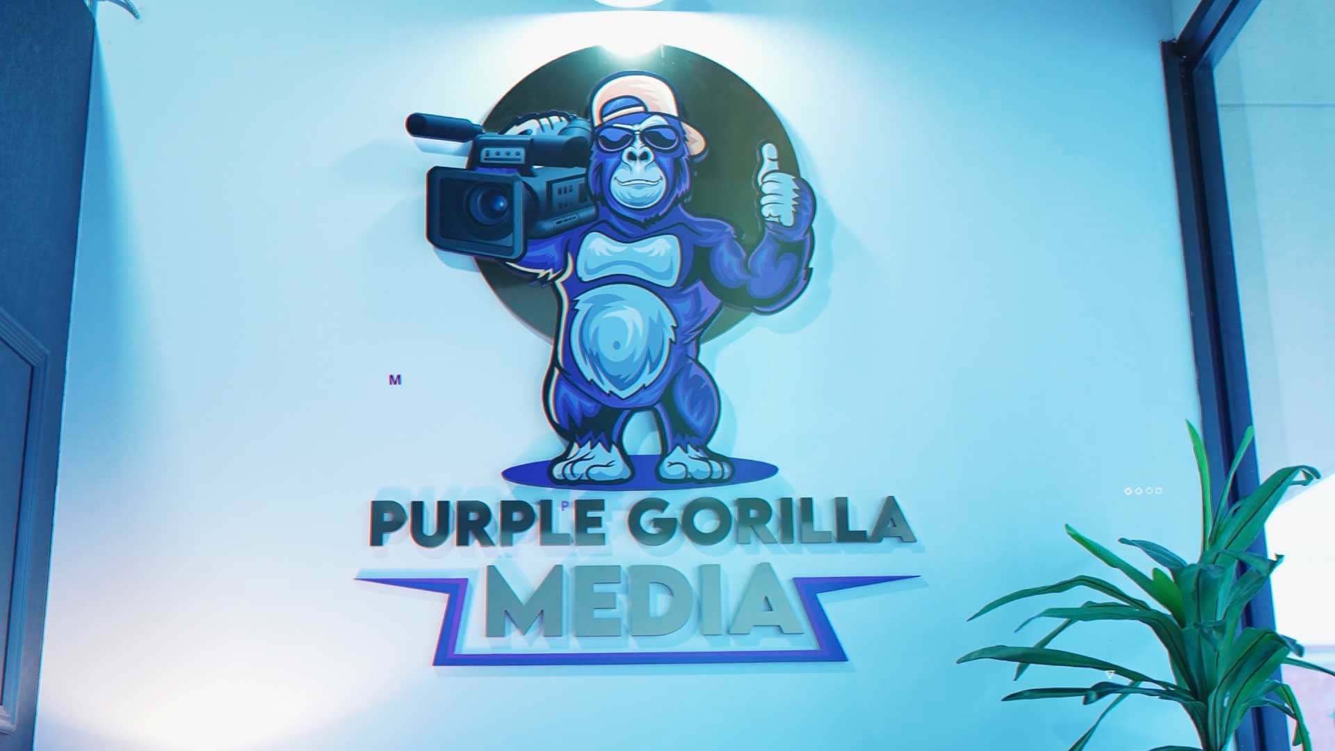 A Quick Overview of What We Offer at Purple Gorilla Media - Purple ...