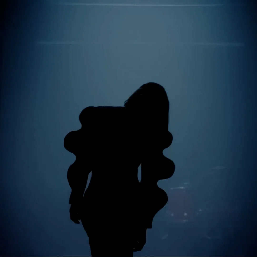 The Collections on Vimeo