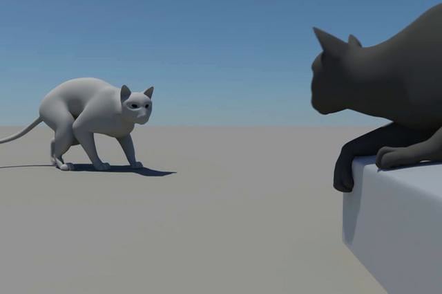 Creature Animation - Cat Fight on Vimeo