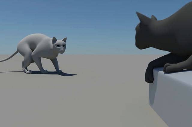 Creature Animation - Cat Fight on Vimeo