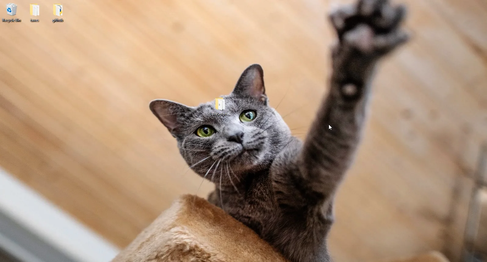 How to Config the JavaScript v4 Triangular Arbitrage Bot for DEX's on Vimeo