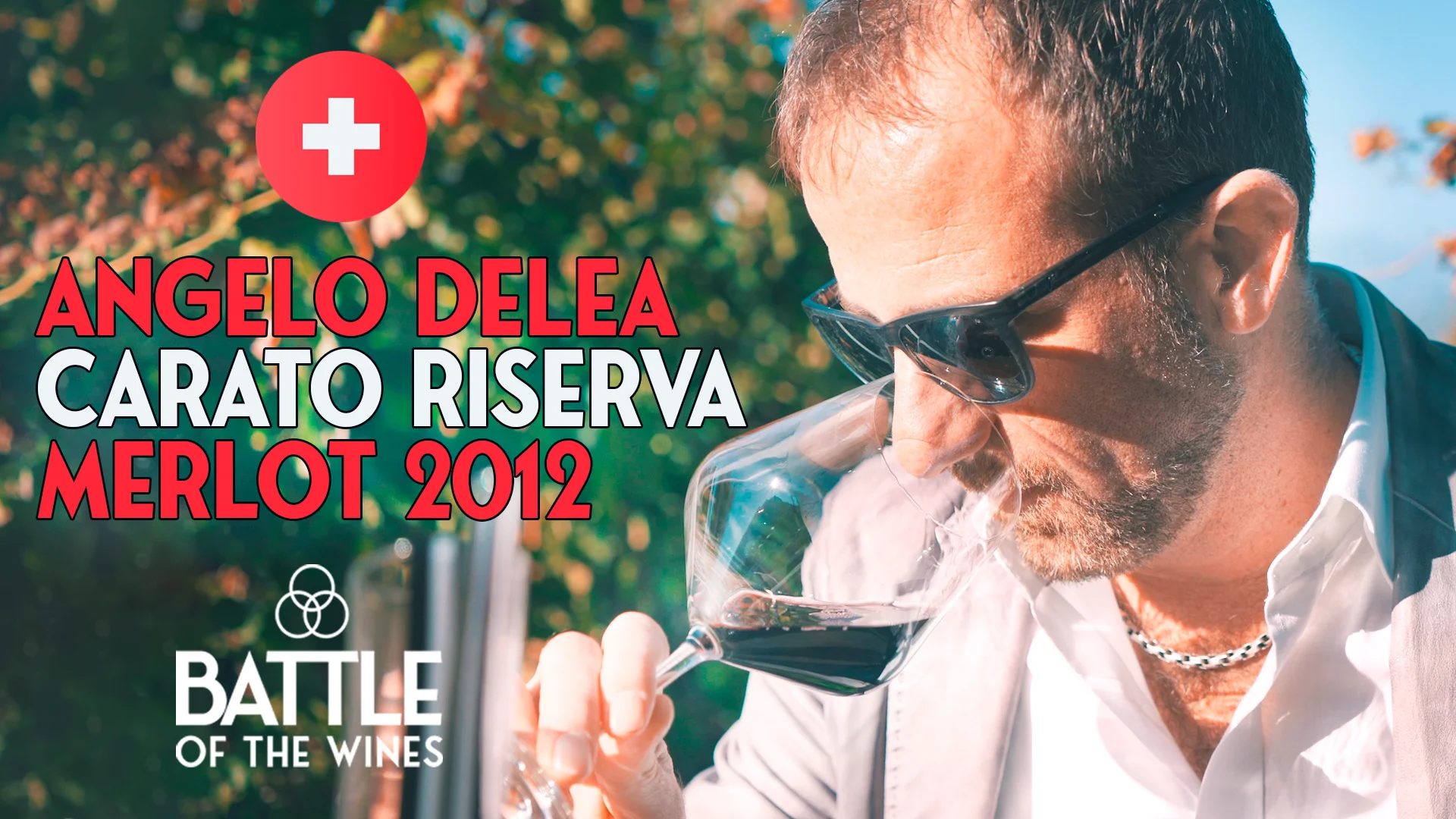 Angelo Delea Carato Riserva Merlot 2012 - Losone, Ticino SUI ...