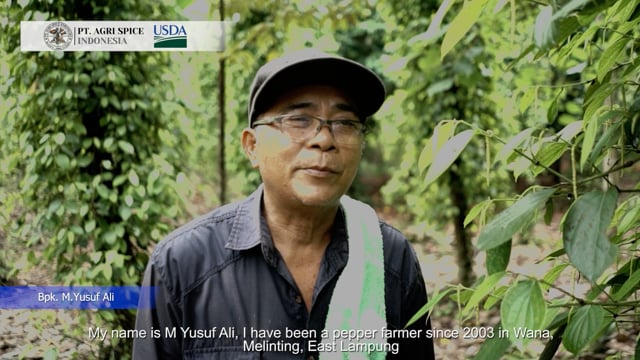 Meet our team - CBI-Global