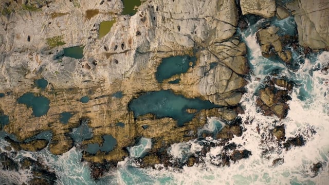 limonero films | Haututū Hunters