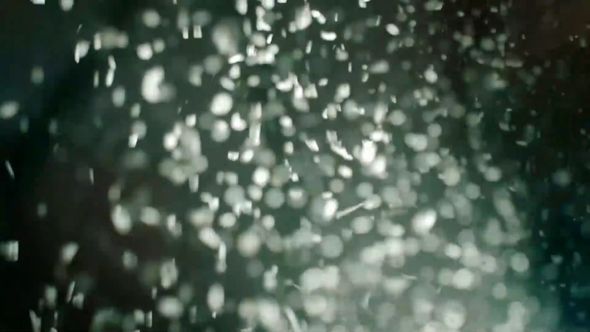 Paulsen SG Commercial 2020 on Vimeo