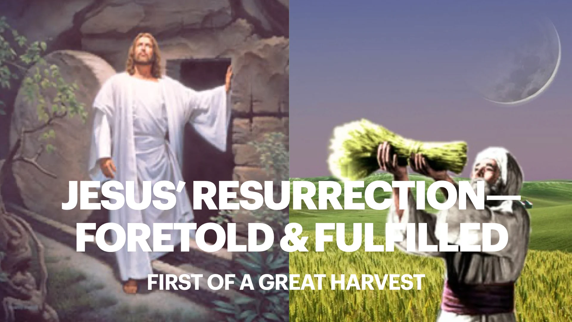Jesus’ Resurrection—First of A Great Harvest