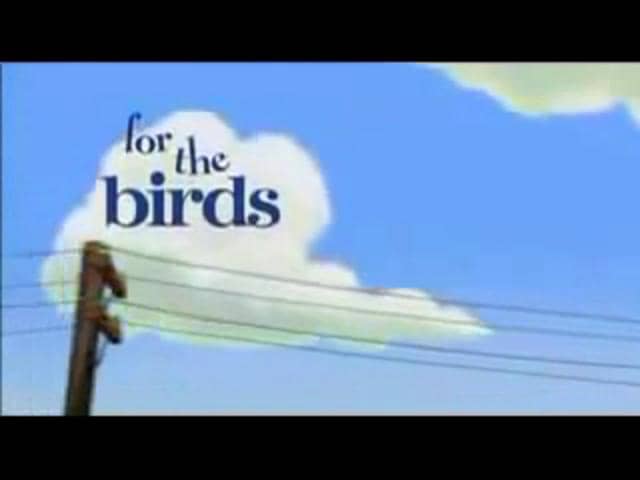 For The Birds [Short Pixar Score] on Vimeo