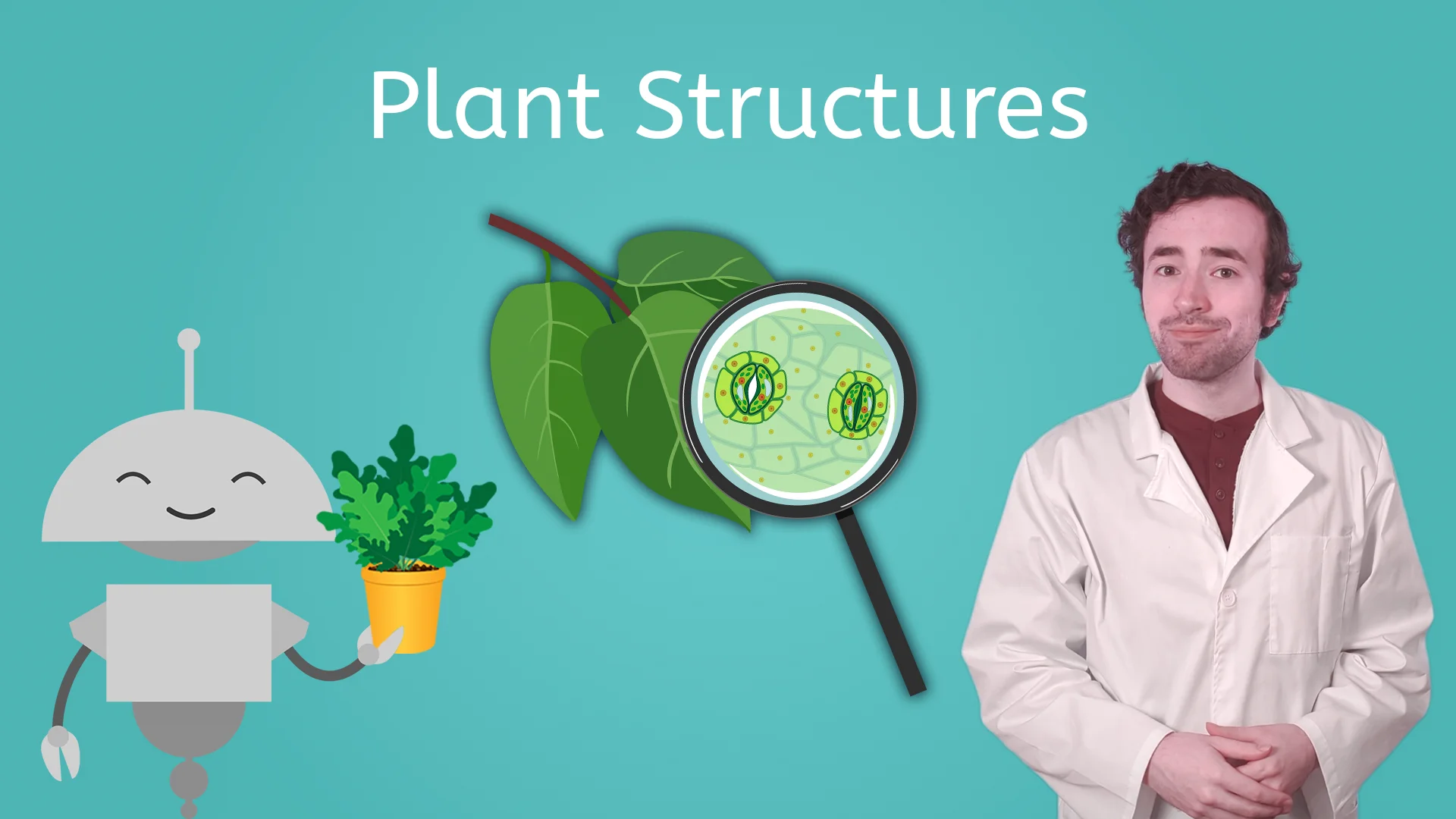 Plant Structures