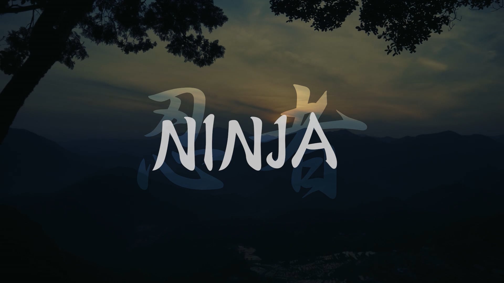 NINJA BRAIN