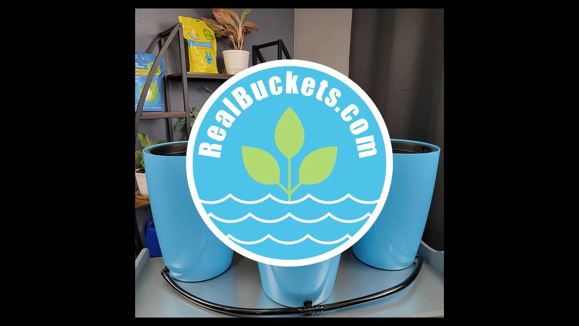 How To Setup Real Buckets