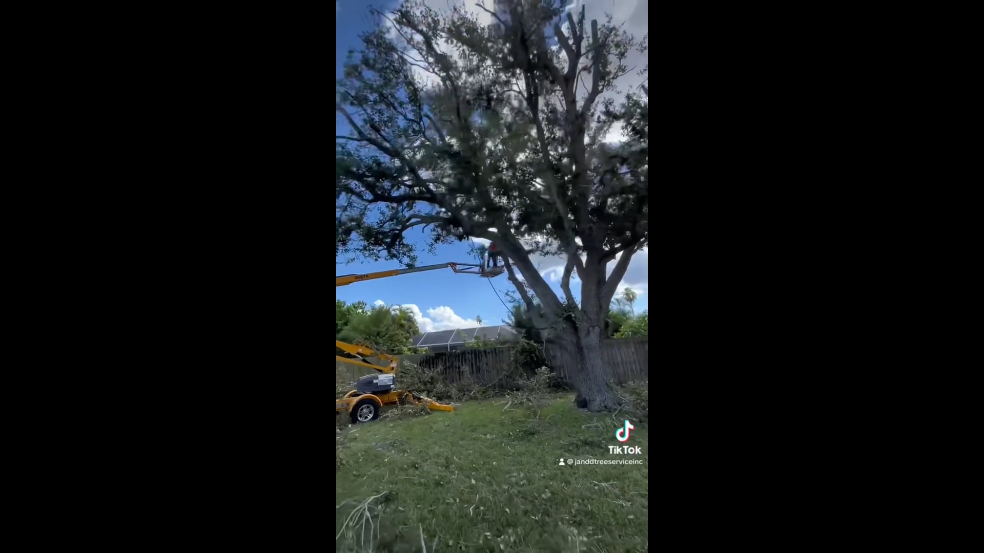 Professional Tree Service | J&D Tree Service Inc