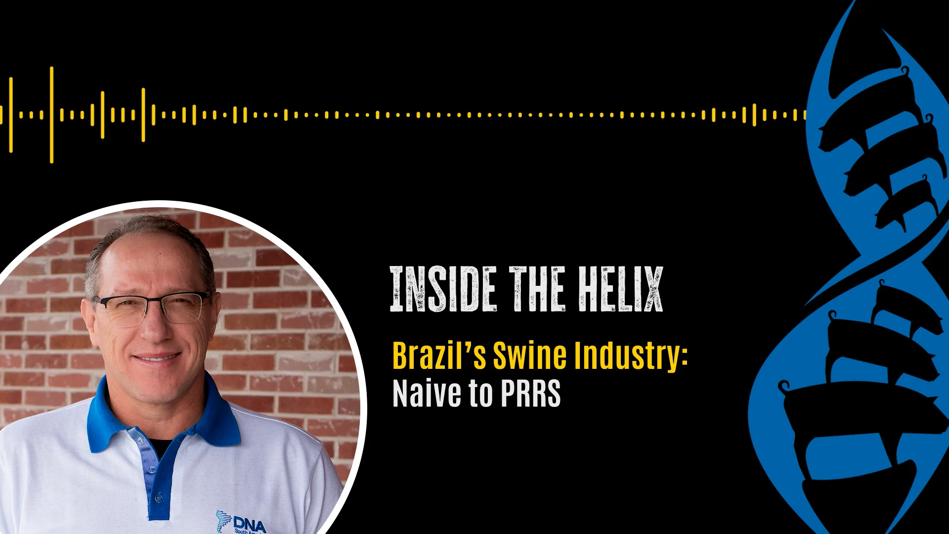 Brazil's Pork Industry