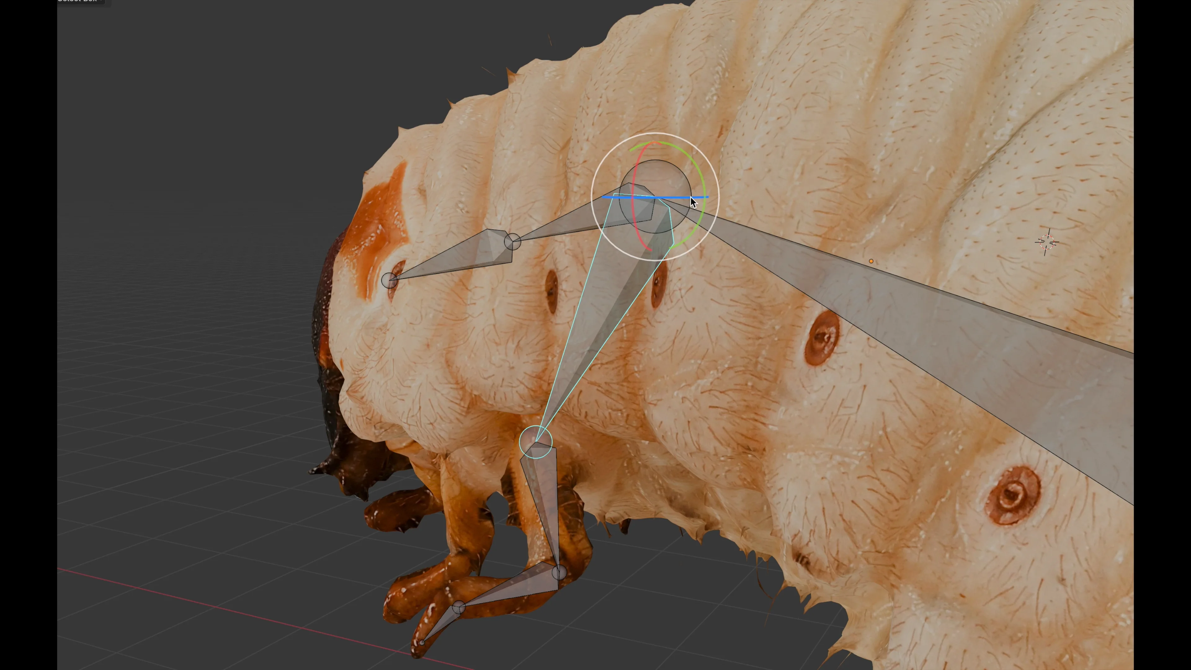 Left 3rd Arm Rig: カブトムシ 幼虫 ♂ Japanese Rhinoceros Beetle Larva on Vimeo