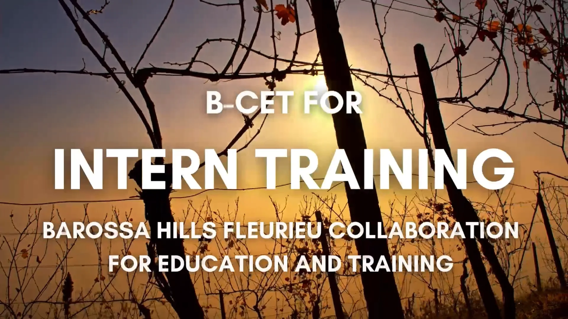 B-CET for Internship : Barossa Hills Fleurieu Collaboration for ...
