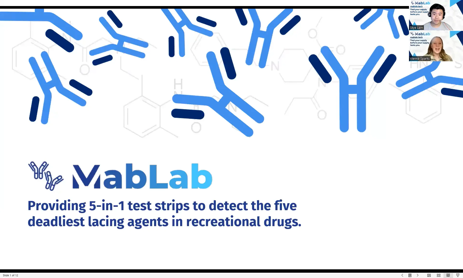 MabLab e-Fest Video Pitch