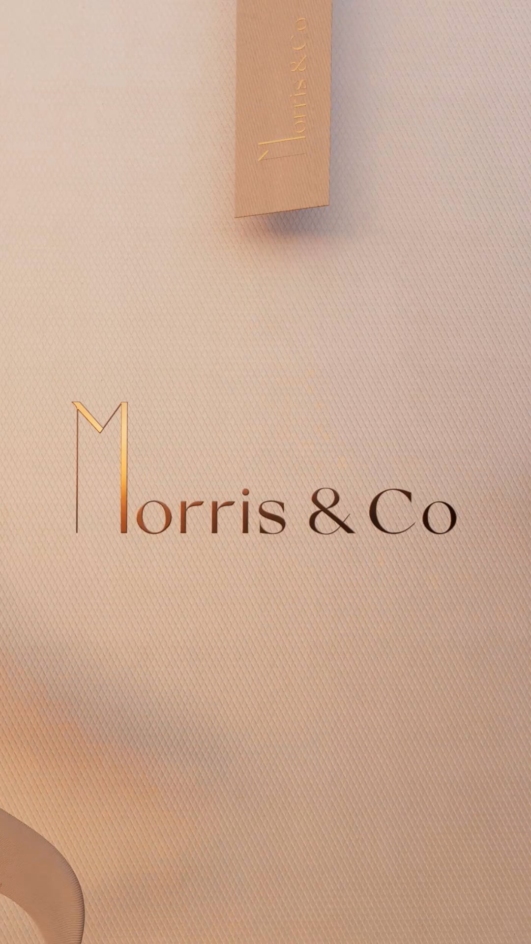 20240325__V33__FBLV__Morris and Co Package__Lighter Animation