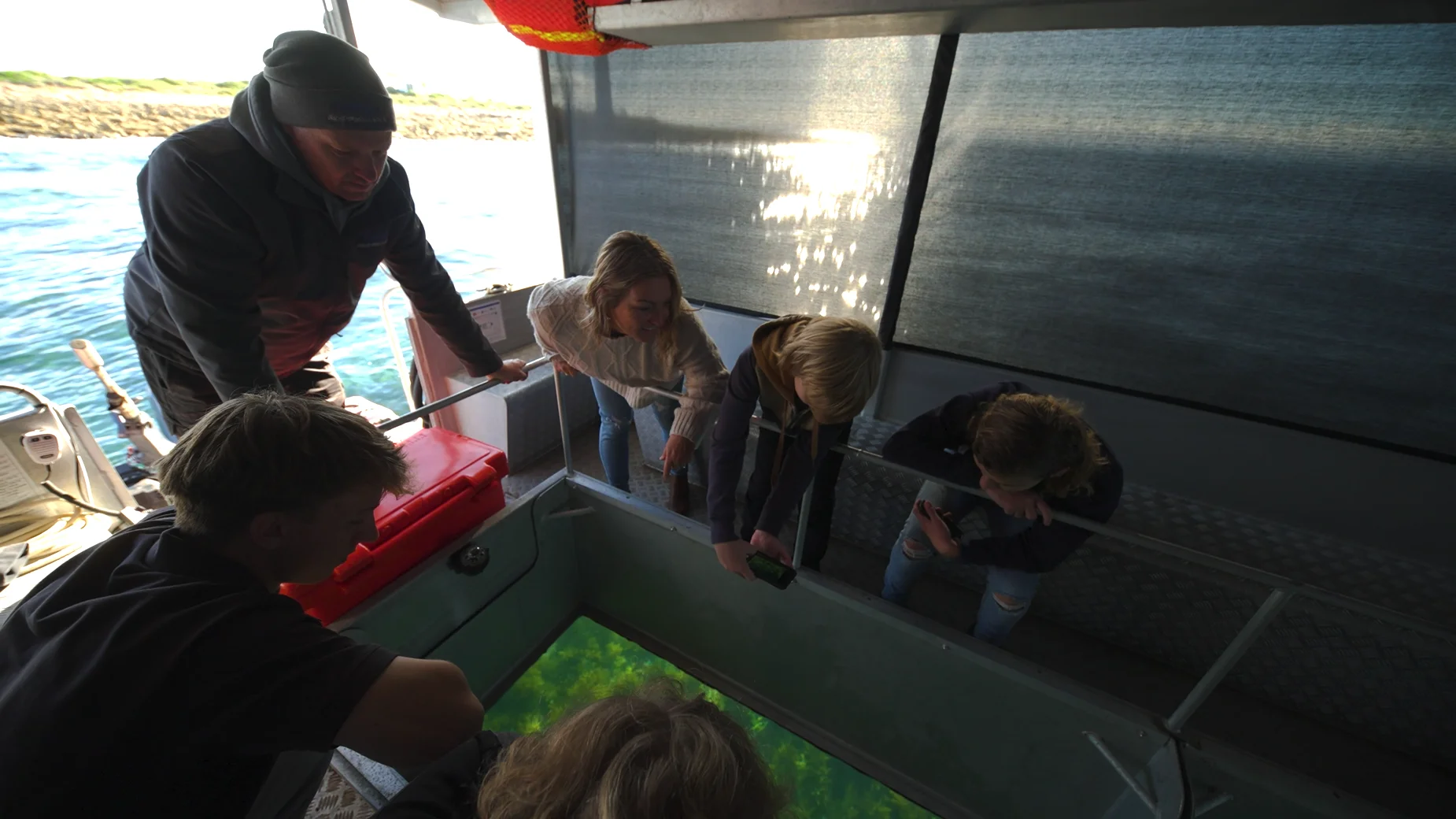Giant Australian Cuttlefish Glass-bottom Boat Tour in Whyalla, South ...