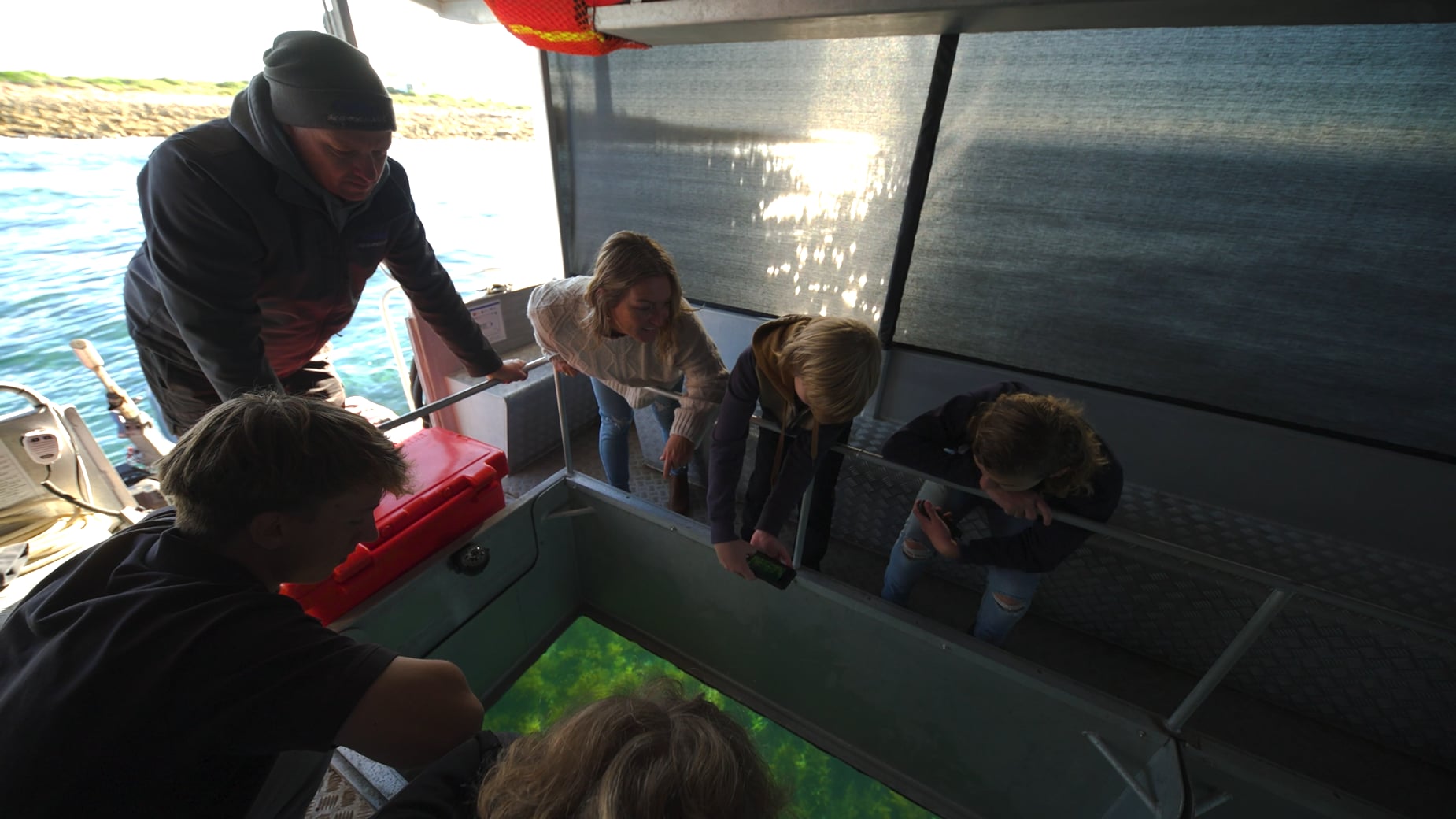 Giant Australian Cuttlefish Glass-bottom Boat Tour in Whyalla, South ...