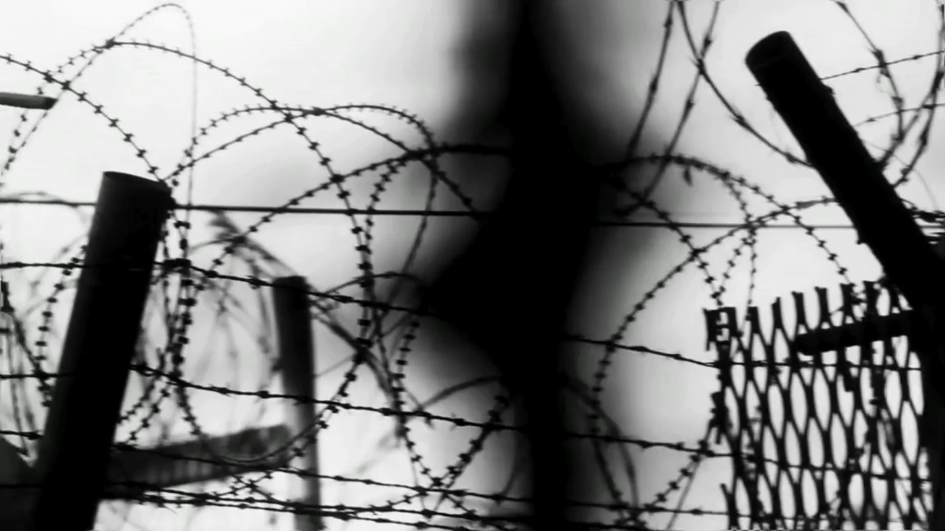 Prison Fellowship International Ministry Overview