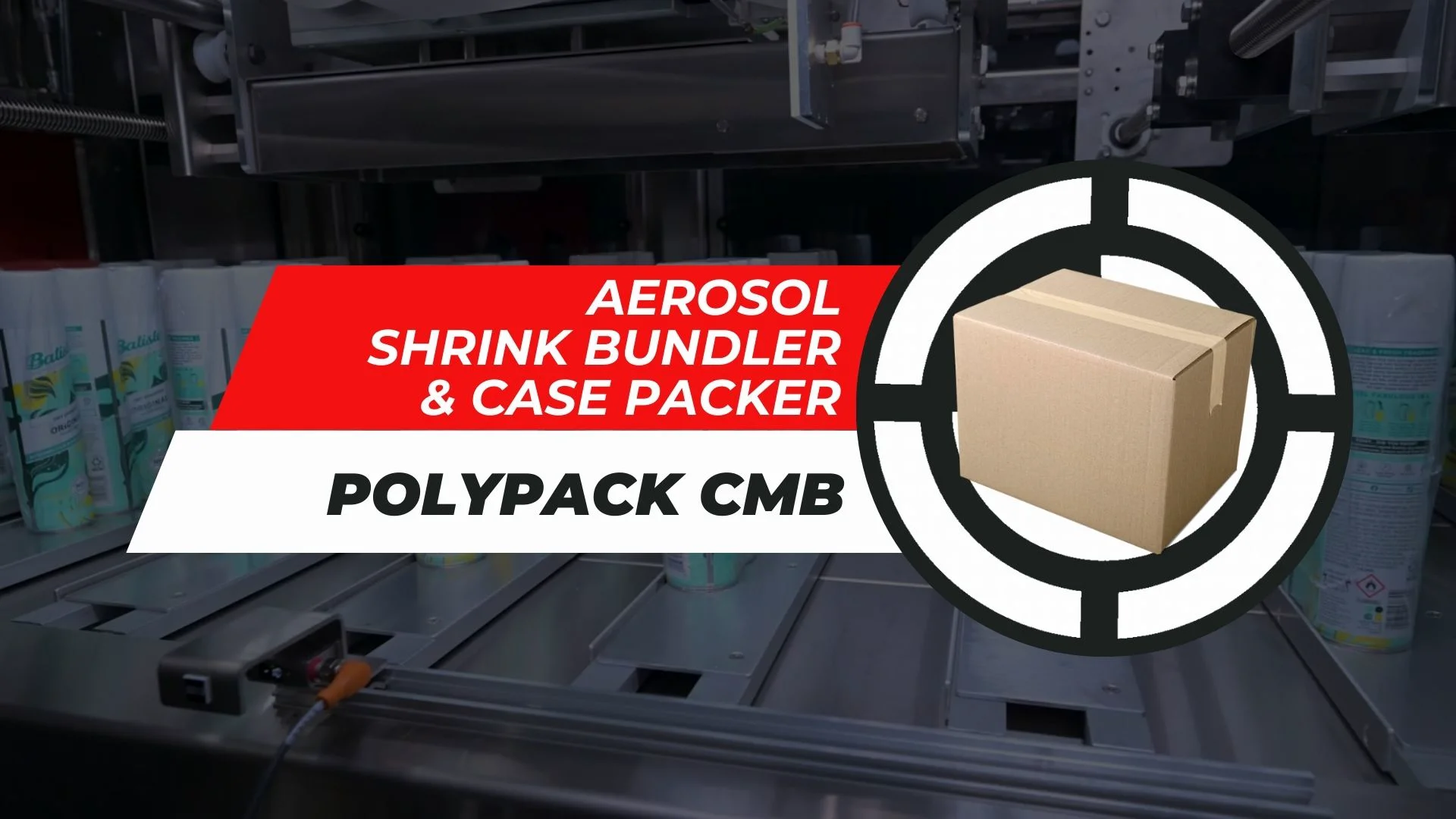 Aerosol Shrink Bundler and Case Packer on Vimeo
