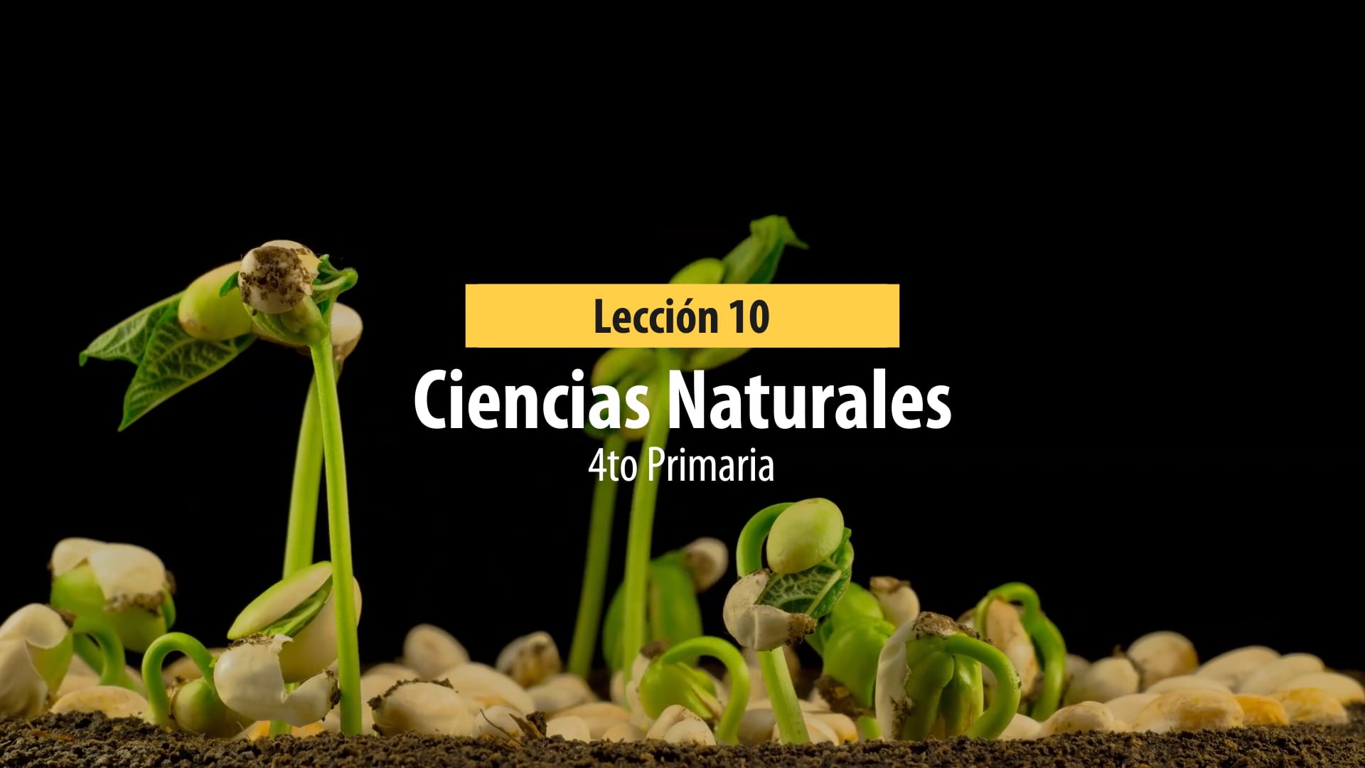 4P_Mes-06_V_N_CN_Lec10