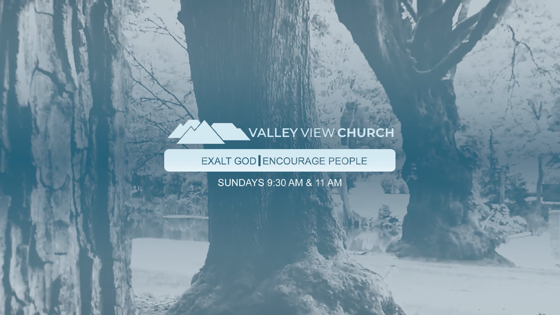 Valley View Church in Longview - Valley View Church