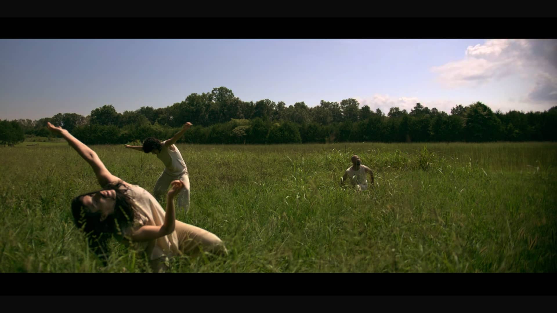 And Spiders Will Destroy Their Own Webs on Vimeo