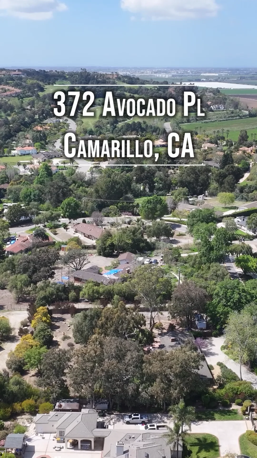 372 Avocado, Reel on Vimeo