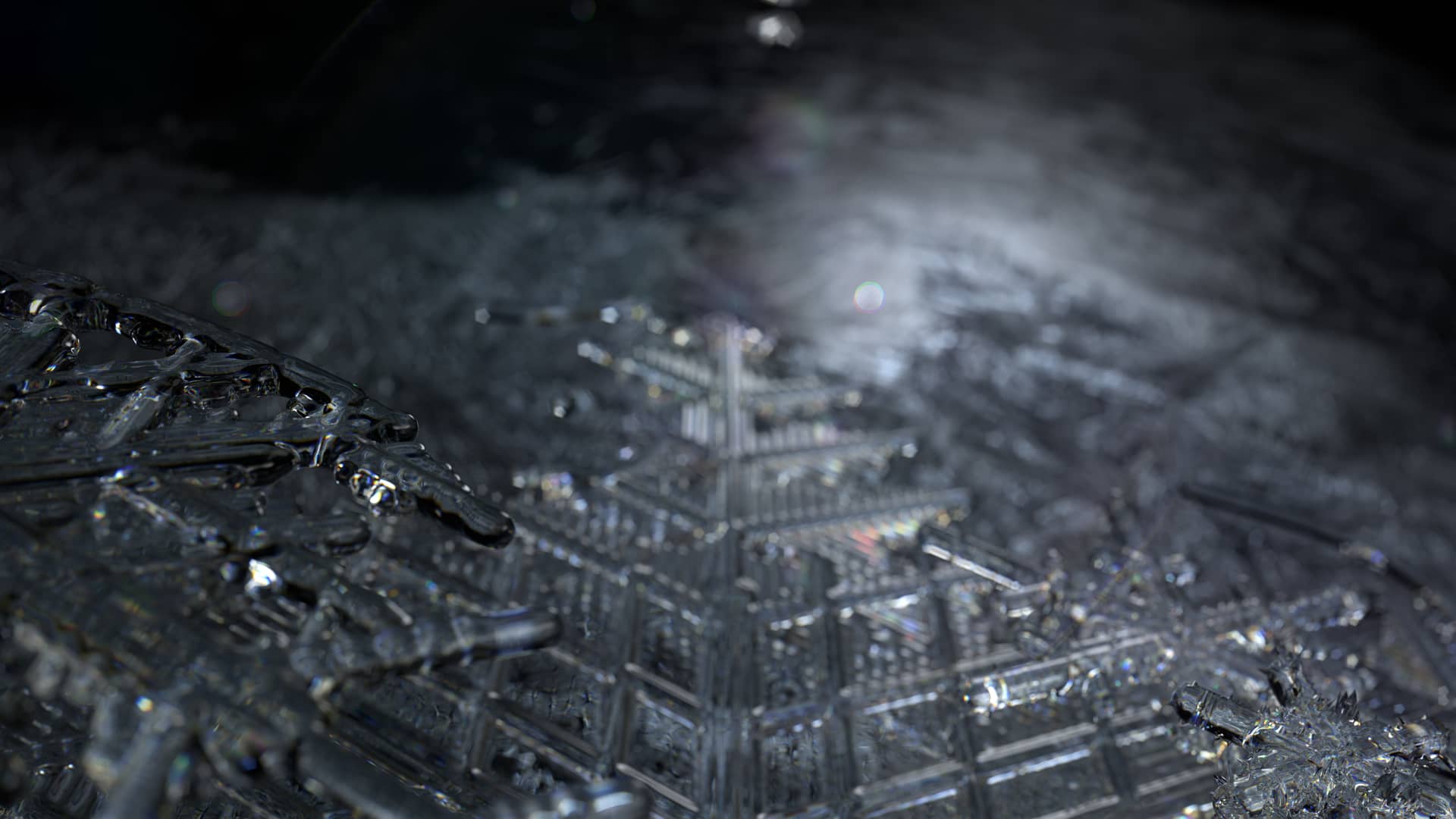 Frostbite Brand Identity - Logo Resolve on Vimeo