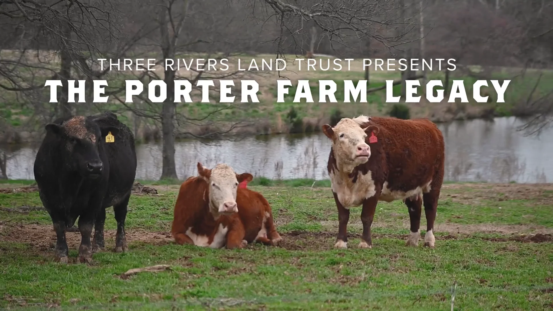 The Porter Farm Legacy