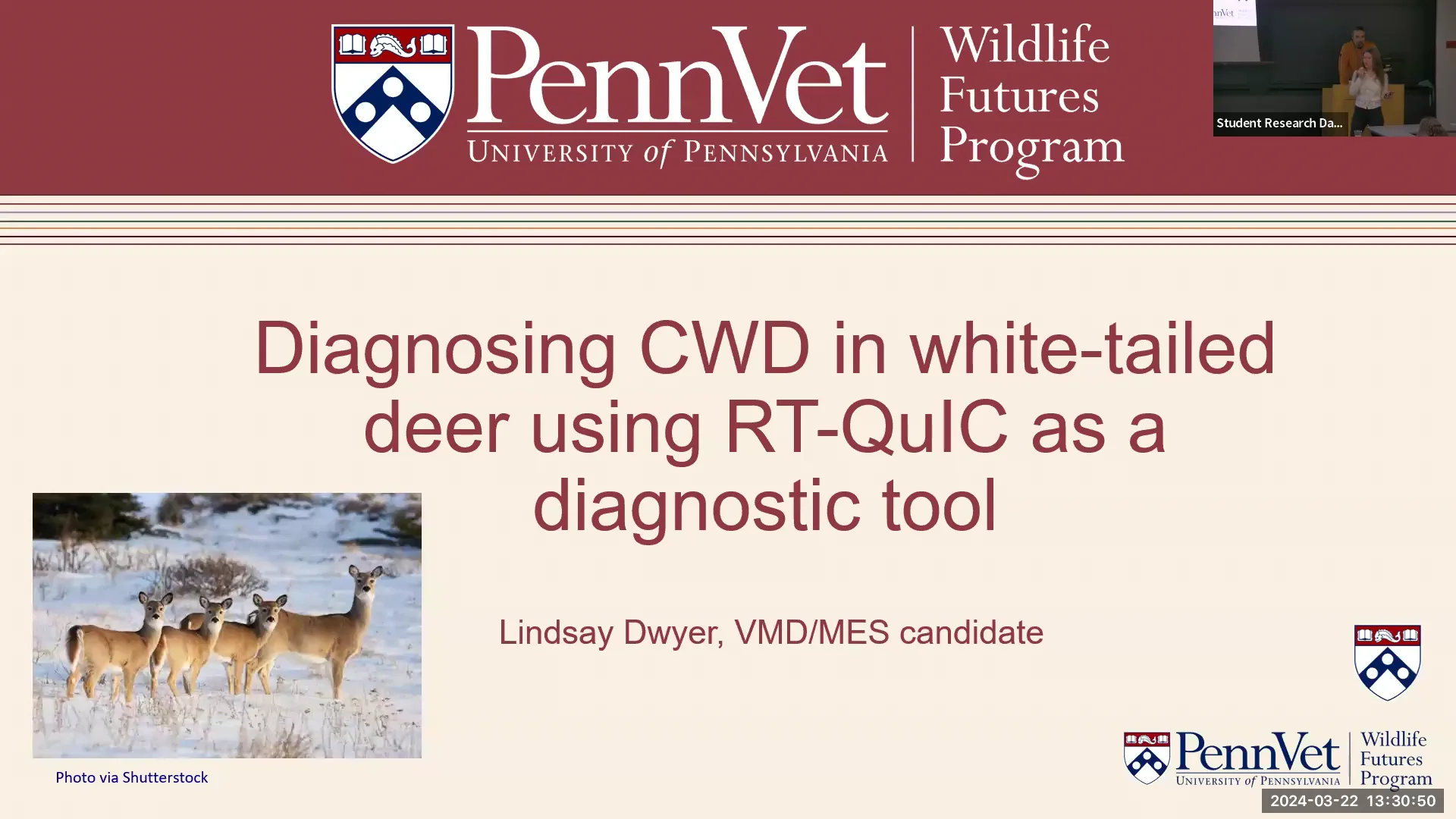 Sample pooling as a CWD surveillance strategy in free range white ...