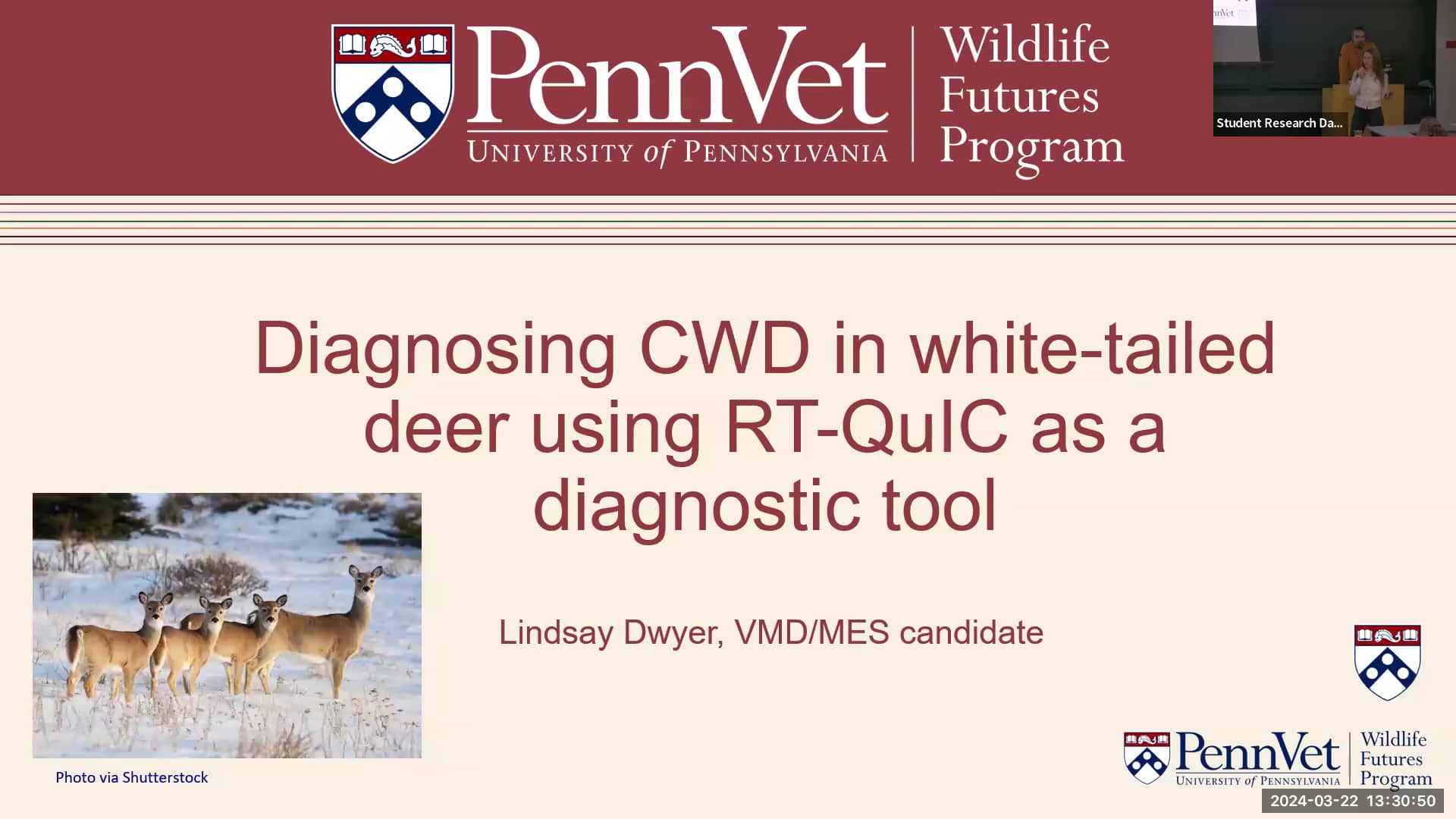 Sample pooling as a CWD surveillance strategy in free range white ...