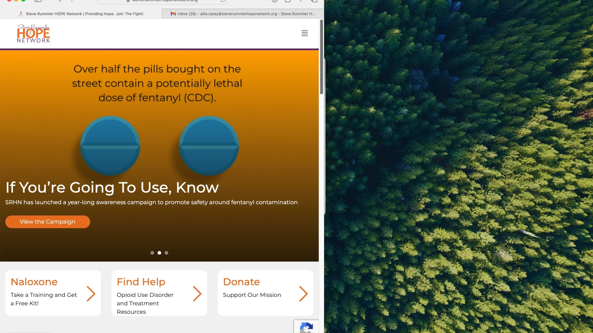 Demographic Entry on Vimeo