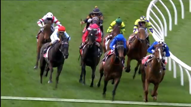 Manhattan Rain - Stallion | Breednet