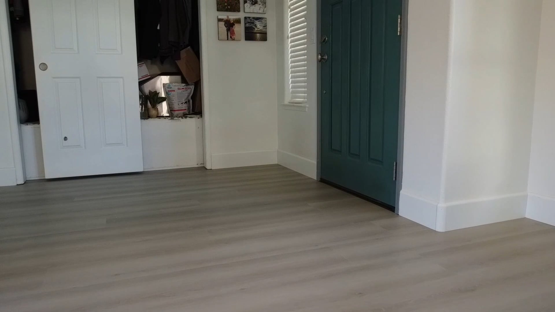 Lion Pro Flooring - Carpet, Epoxy, Vinly Plank, Hardwood, Laminate ...